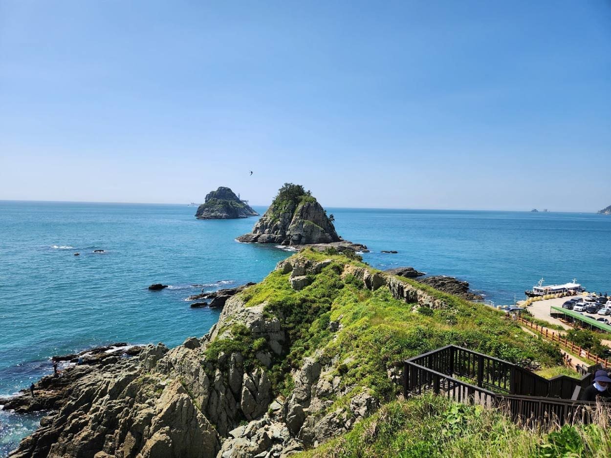 Discover the Best of Pohang with a Guided Tour - Korea Tour Company