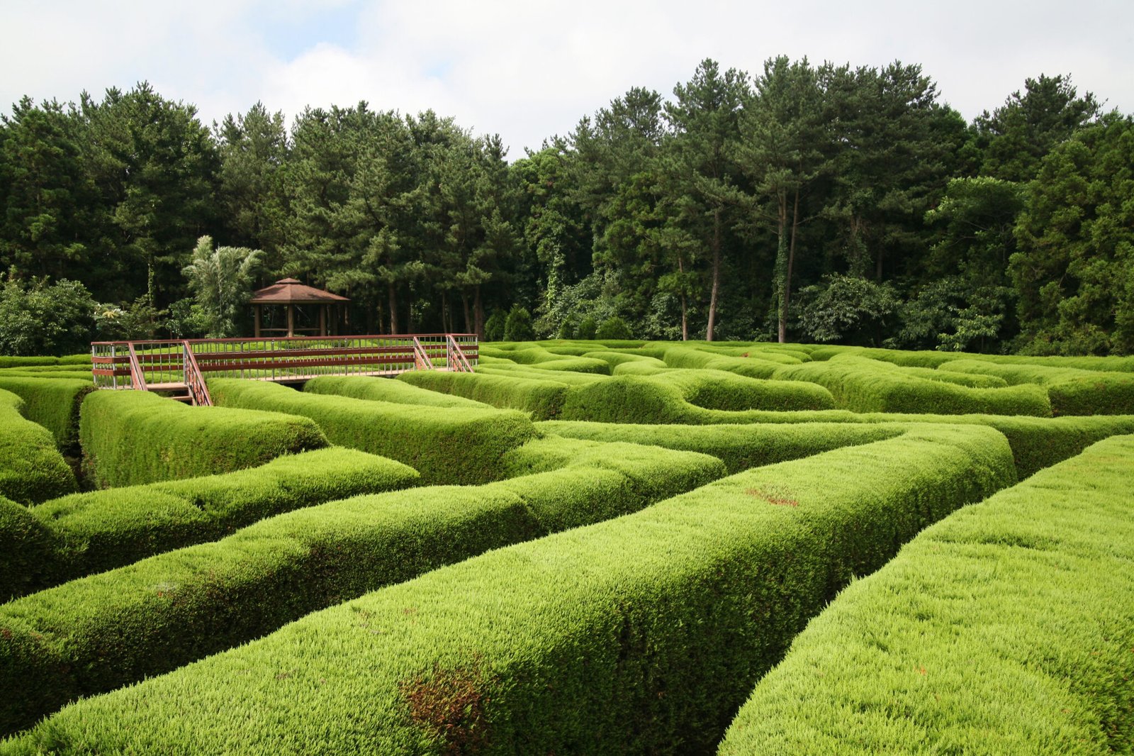 Gimnyeong Maze Park: Explore Unique Paths - Korea Tour Company